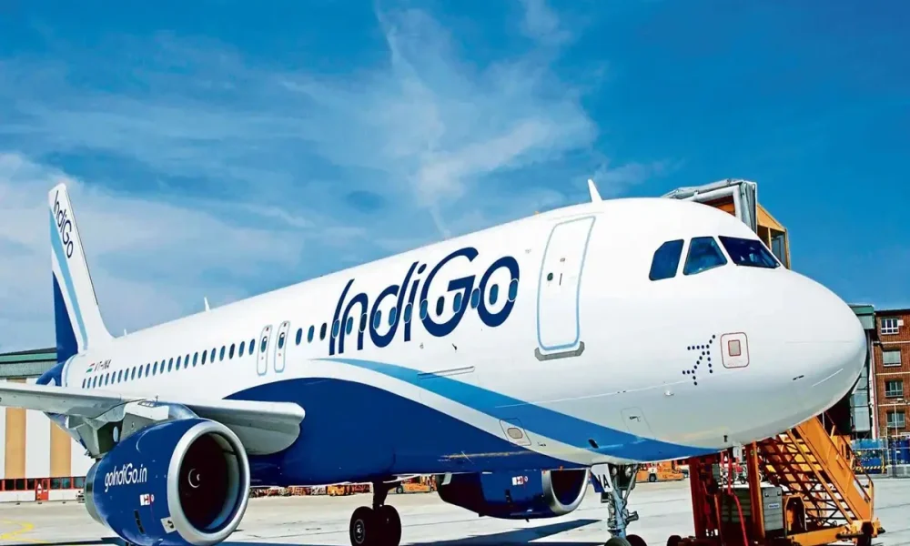 IndiGo Crisis Exposes Risks of Monopoly: What If Telecom or E-commerce ...